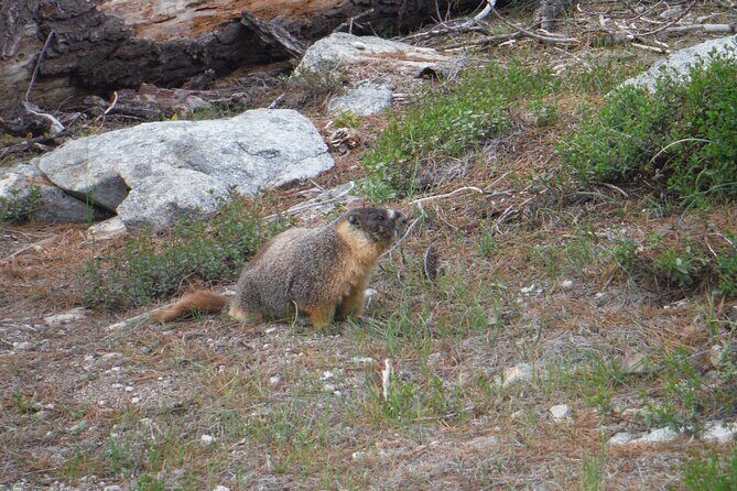 Yosemites High Country Adaptive Tour - The Itinerary and What to Expect