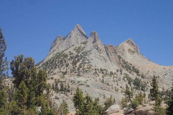 Yosemites High Country Adaptive Tour - Frequently Asked Questions