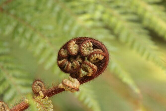 You choose the itinerary Dunedin, Full day, 6hrs - Final Thoughts