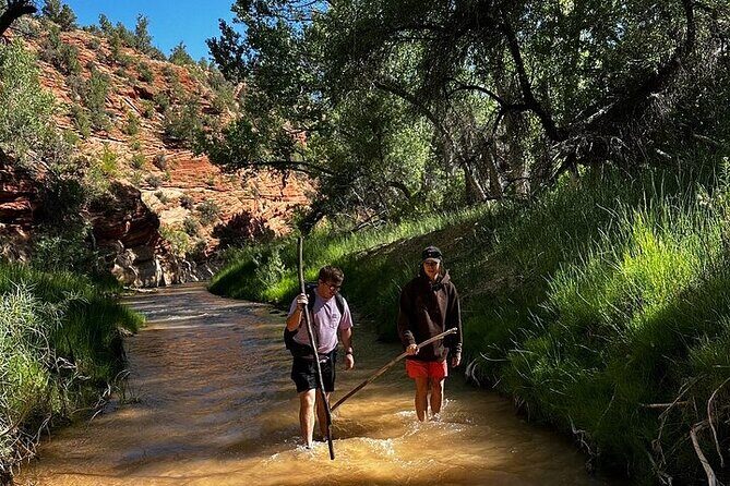 YOU DRIVE!! 4 Hr East Zion Guided UTV Tour - What Makes This UTV Tour Special? 