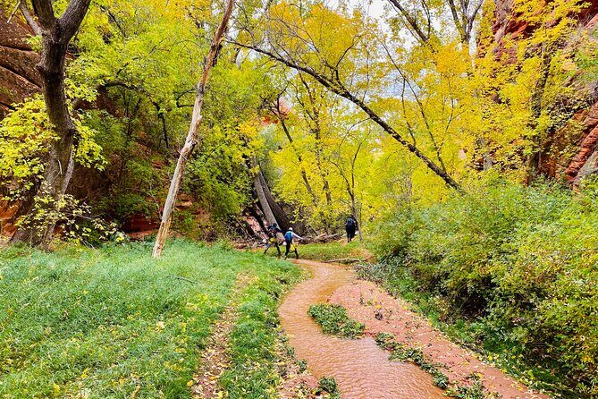YOU DRIVE!! 4 Hr East Zion Guided UTV Tour - Who Will Love This Tour?