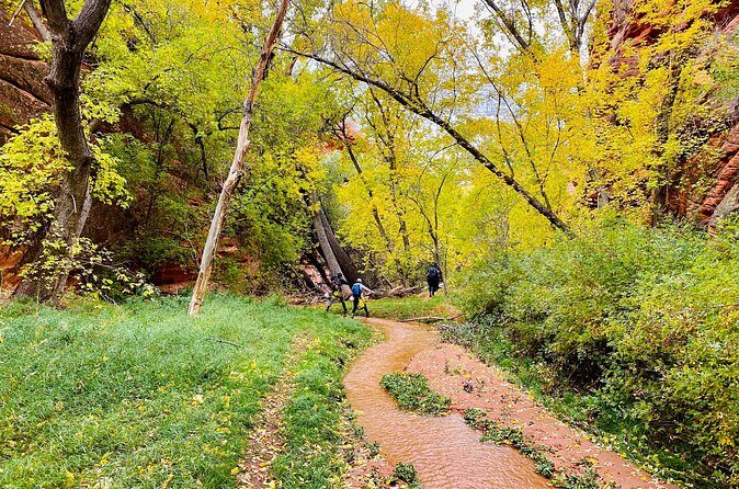 YOU DRIVE!! 4 Hr East Zion Guided UTV Tour - Practical Considerations