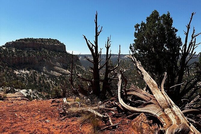 YOU DRIVE!! 4 Hr East Zion Guided UTV Tour - Final Thoughts