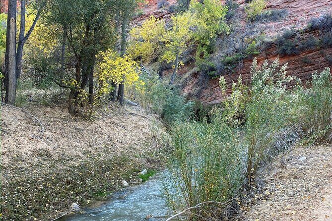 YOU DRIVE!! 4 Hr East Zion Guided UTV Tour - FAQ