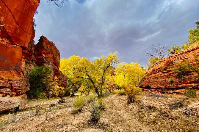 YOU DRIVE!! East Zion's Hidden Treasures - 4 Hr UTV Tour - Key Points