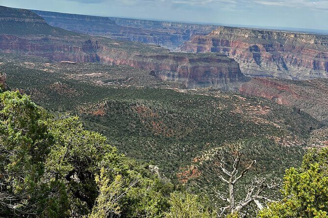 YOU DRIVE!! Iconic Grand Canyon Overlooks Full Day UTV Tour - An In-Depth Look at the Tour Experience
