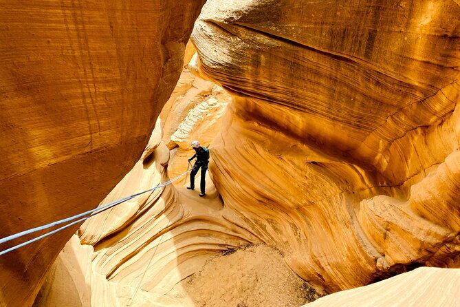 YOU DRIVE!! Rap & Ride - A Full Day of Rappelling and UTVs - The Sum Up