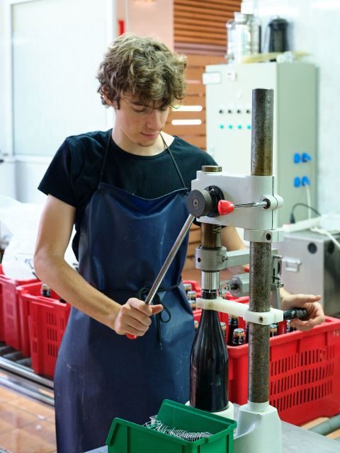 Your Cava, Your Story  Wine workshop experience at Artcava - The Sum Up: Is It Worth It?