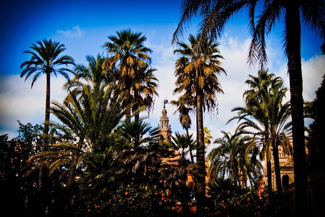 Your First Day in Seville, the Local Way - Final Words
