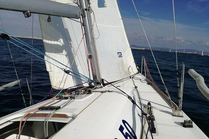 Your first experience Sailing - Private Trip in Ria Formosa - Setting the Scene: What is Ria Formosa?  