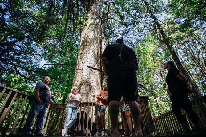 Your Kiwi Cultural Connection with Tu Tika Tours - Final Thoughts: Who’s It Best For?