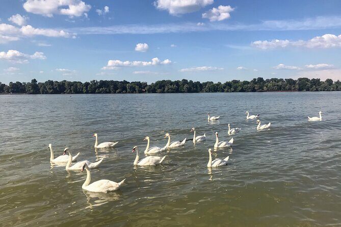 Your Own Belgrade: Unexpected Treasures of the City - Who Should Book This Tour?  