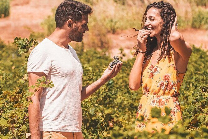 Your Private Driver & Chauffeur Service in Crete from Chania - Cost & Value Analysis