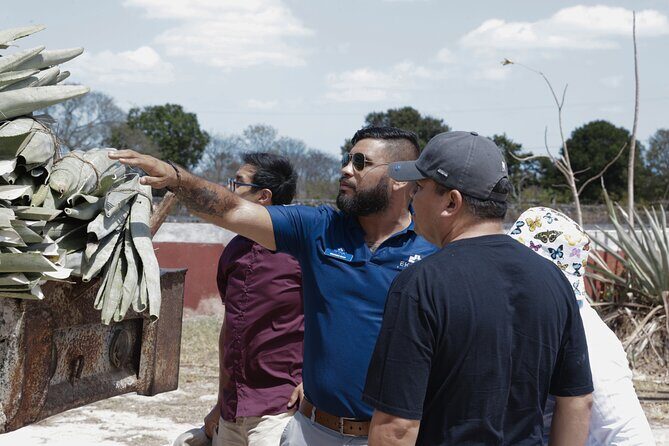 Yucatan Discovery: Motul, Hacienda, Xcambo, Xtampu & Progreso - Final Thoughts