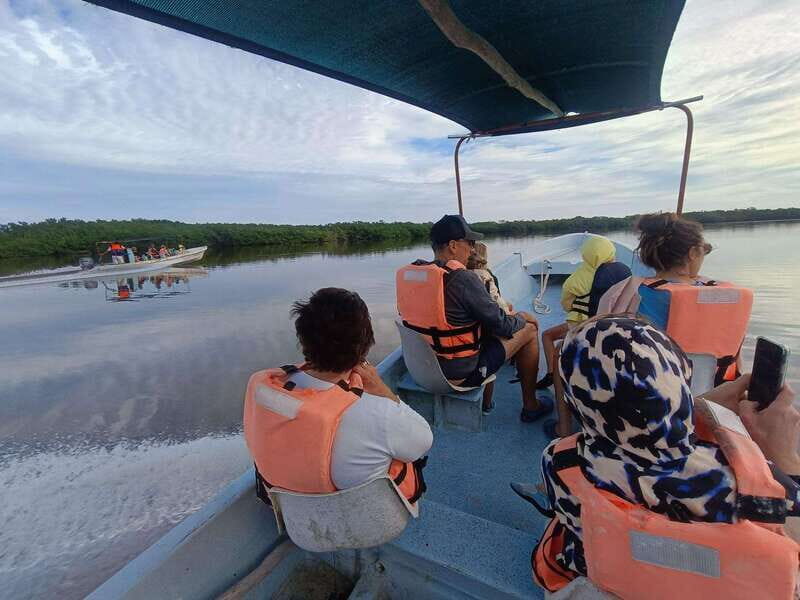 Yucatán: Río Lagartos Biosphere Reserve Boat Tour - A Deep Dive Into the Río Lagartos Biosphere Reserve Boat Tour