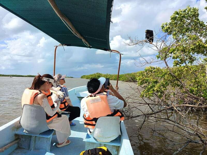 Yucatán: Río Lagartos Biosphere Reserve Boat Tour - Practical Tips for Your Tour
