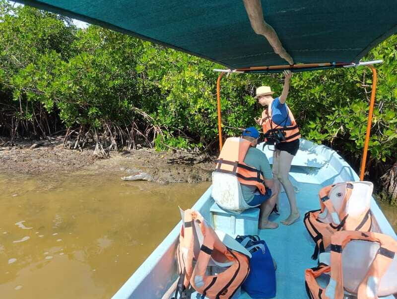 Yucatán: Río Lagartos Biosphere Reserve Boat Tour - Summary: Why This Tour Is Worth Considering