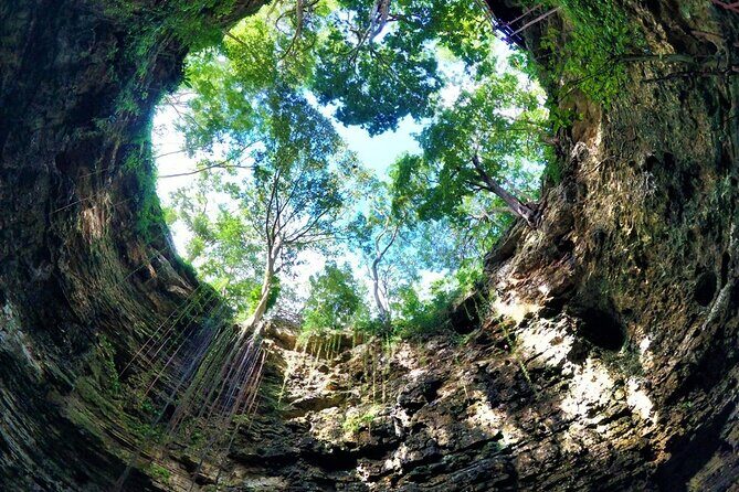 Yucatan Wonders: Ek Balam, Cenote Swim & Valladolid Tour - Practical Details: Transportation, Timing, & Group Size