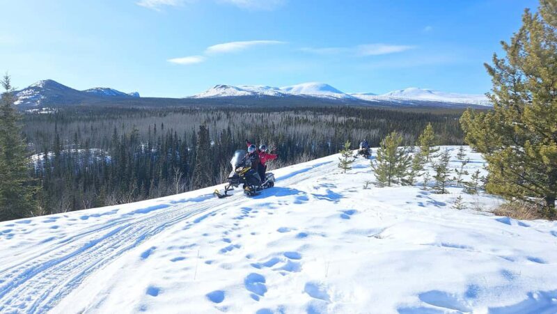 Yukon: Half-Day Snowmobile Tour - Key Points