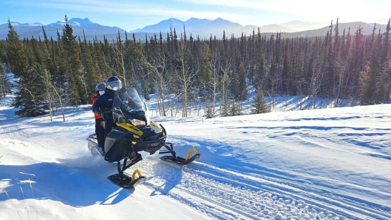 Yukon: Half-Day Snowmobile Tour - What to Expect on the Snowmobile