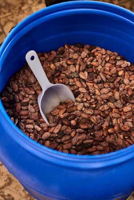 Zaandijk-Near Zaanse Schans Chocolate making demo & tasting - Introduction