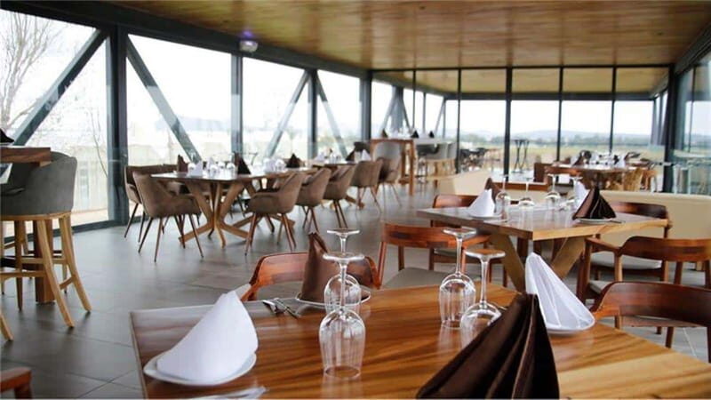 Zacatecas: Campo Real Vinícola Tour - The Journey to Campo Real Winery