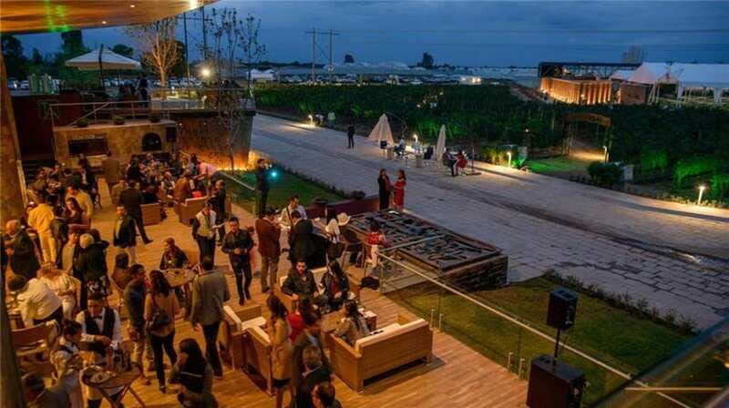 Zacatecas: Campo Real Vinícola Tour - Additional Details & Practical Tips