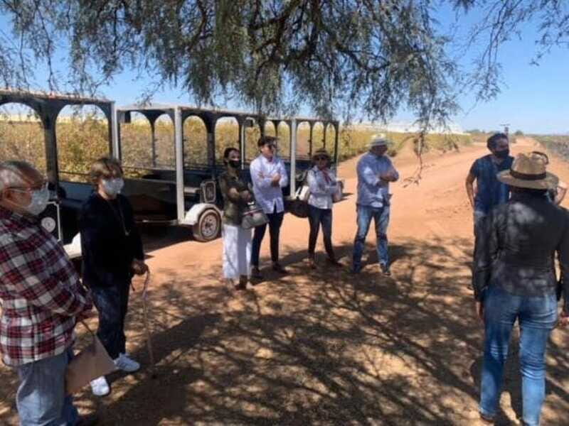 Zacatecas: Campo Real Vinícola Tour - Authenticity and Reviewer Insights