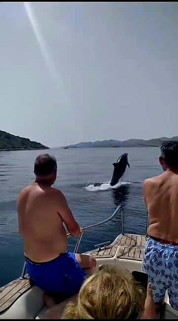 Zadar: Adventure on 6 islands, 3 lagoons, 1 cave, Bio Fruits - Key Points