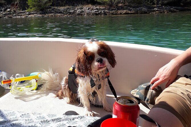 Zadar Boat Tour Half Day - The Sum Up: Who Should Consider This Tour?