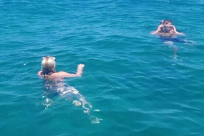 Zadar Boat Tour to the Nearby Islands - Authentic Experiences from Genuine Travelers