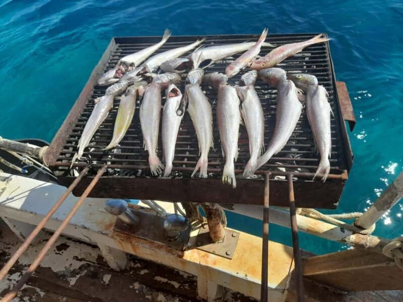 Zadar: Fishing Boat Trip with Lunch and Swimming Included - An Authentic Day on the Water: What to Expect