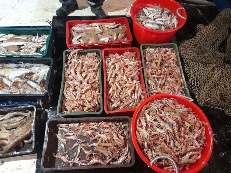 Zadar: Fishing Boat Trip with Lunch and Swimming Included - Practical Details: The Numbers Behind the Experience