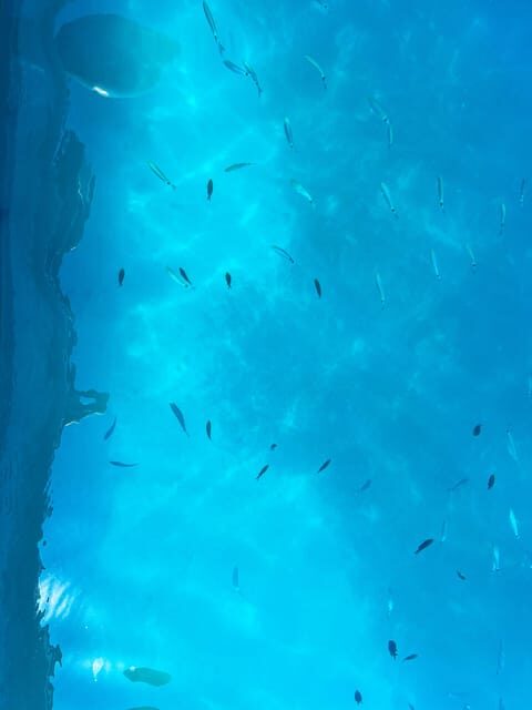 Zadar: Kornati National Park & Cliffs of Telascica - The Practicalities: What You Need to Know