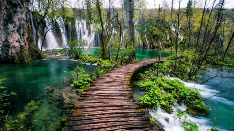 Zadar: Plitvice Lakes Guided Day Tour with Tickets - An In-Depth Look at the Experience