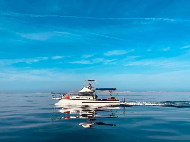 Zadar: Private Tour to Ugljan, Osljak and Galevac - half day - Key Points