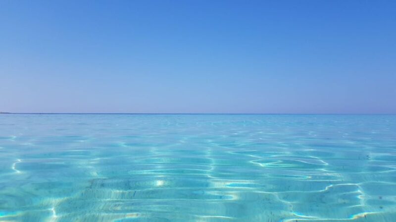 Zadar: Sakarun Bay, Golubinka Cave & Veli al Speedboat Tour - The Sum Up