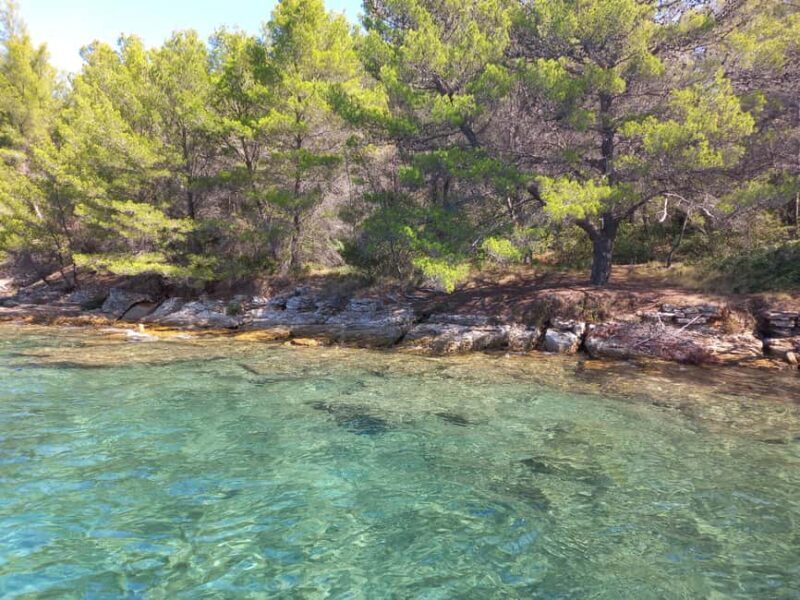 Zadar: Sea, Sun, and Wind Half-Day Sailing Adventure - Key Points  