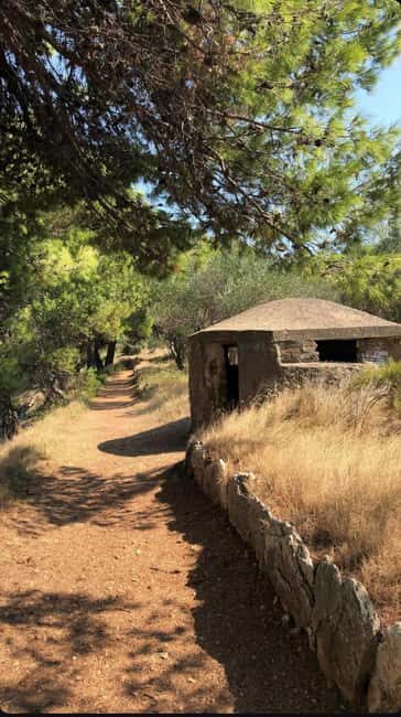 Zadar: SpeedBoat Tour to 3 Islands - Swimming & Snorkeling - The Sum Up