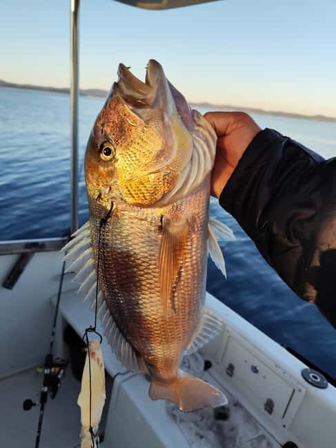 Zadar: Sunset Fishing Half-Day Guided Boat Trip - FAQs