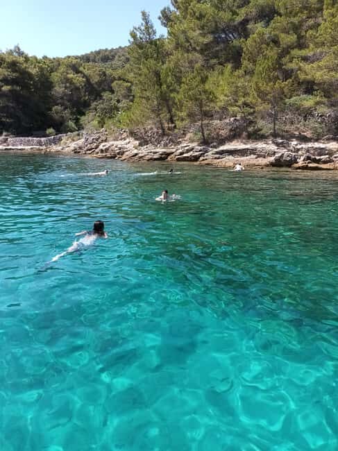 Zadar:Ugljan, Frnaa,Galevac &Oljak free beer & anchovies - The Sum Up