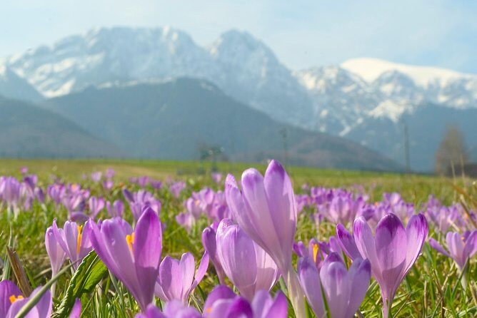 Zakopane and Tatras Mountains Day Tour from Krakow - FAQs