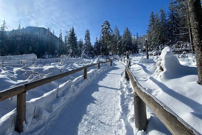 Zakopane Day Tour with Hotel Pick up and Optional Thermal Spa - Who Will Benefit Most from This Tour?