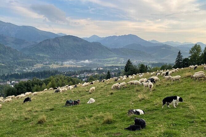 Zakopane full day tour with cable car & thermal baths from Krakow - FAQ