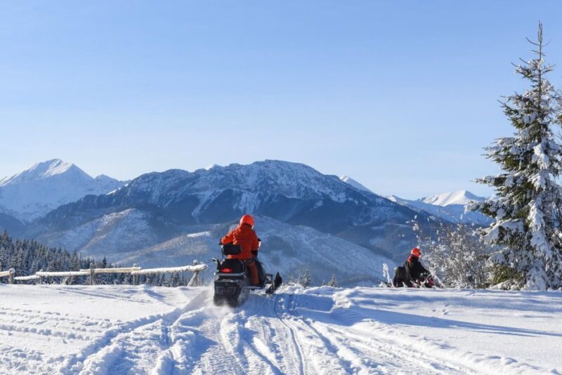 Zakopane: Snowmobiles Expedition and Optional Bonfire - Zakopane: Snowmobiles Expedition and Optional Bonfire — An Authentic Winter Adventure