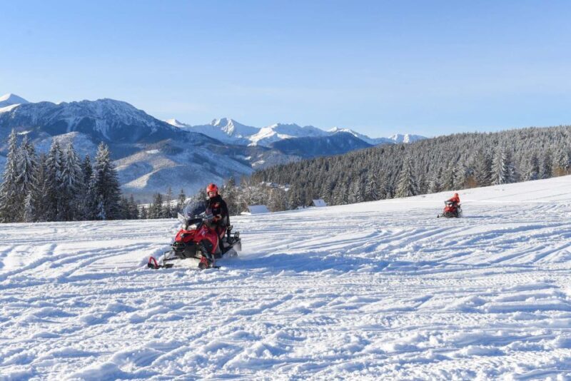 Zakopane: Snowmobiles Expedition and Optional Bonfire - The Experience in Practice: What to Know Before Booking