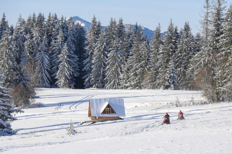 Zakopane: Snowmobiles Expedition and Optional Bonfire - Authentic Insights from Reviewers