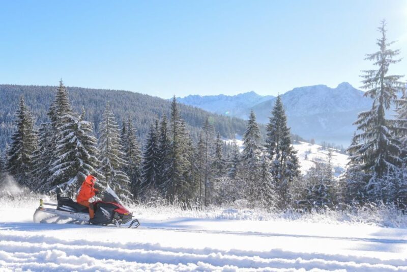Zakopane: Snowmobiles Expedition and Optional Bonfire - Who Is This Tour Best For?