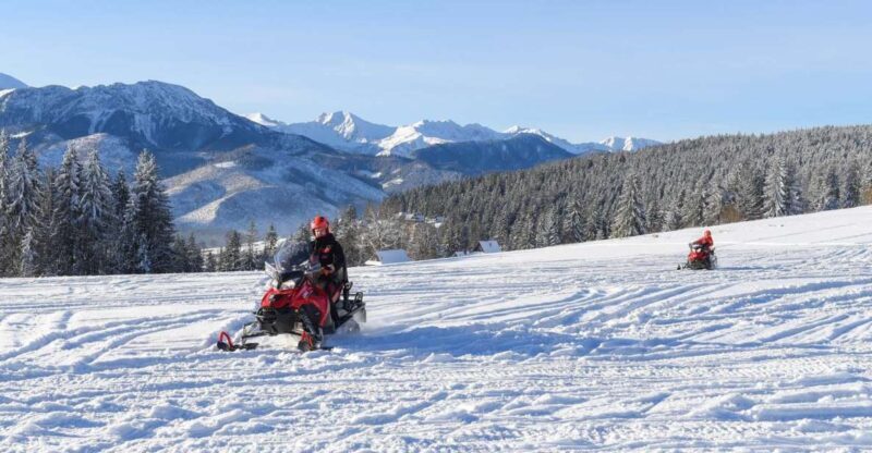 Zakopane: Snowmobiles Expedition and Optional Bonfire - The Sum Up