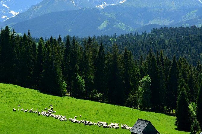 ZAKOPANE & THERMAL SPRINGS, Funicular, Cheese Tasting - Transportation, Guides, and Group Size